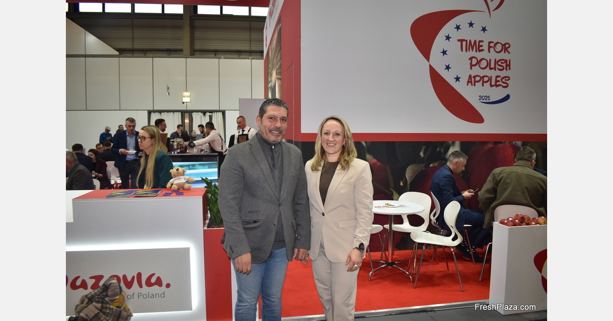 "We'll be working with Egyptian clients very closely"