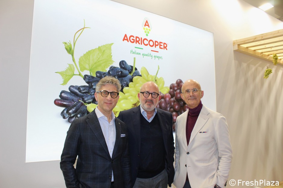 "We started with the first early red seedless grapes"