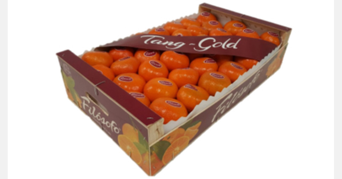 First Filosofo Premium Tang Gold arrive at Dutch trader