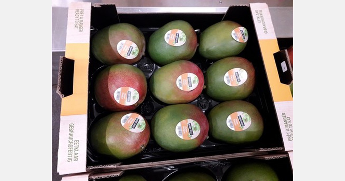 “Enough mangoes despite strikes in Peru”