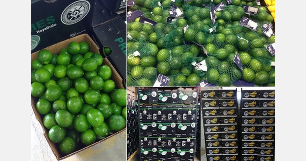 "We want to help our Mexican growers compete on the world market"