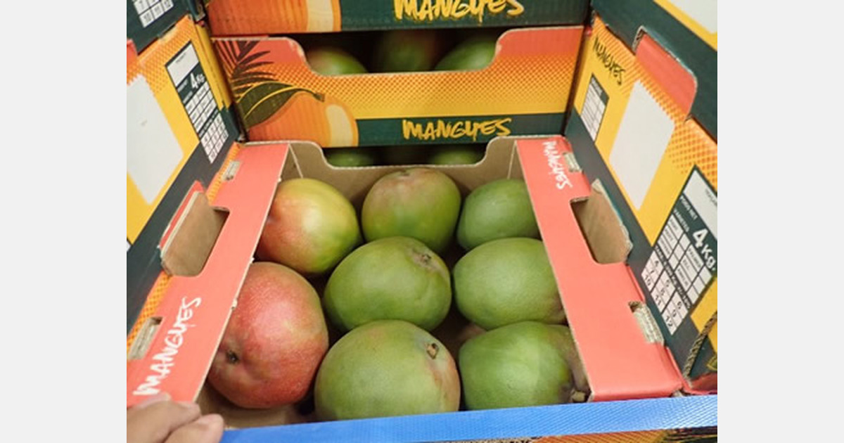 Mango season in Ivory Coast and Mali finished earlier"