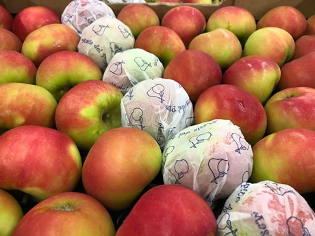 “The Spanish apple harvest is looking good”