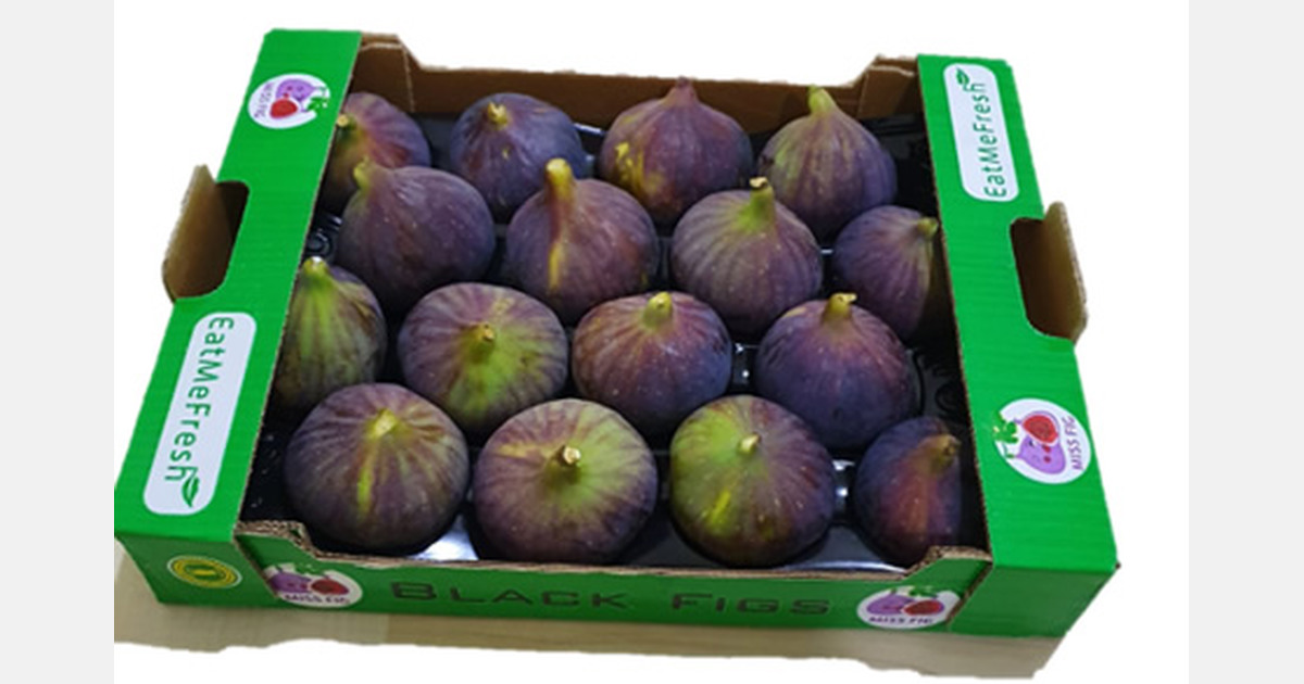 "Good start to Turkish Bursa fig season"