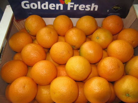 "Huge demand for small Maroc Valencia Late oranges on the Dutch free ...