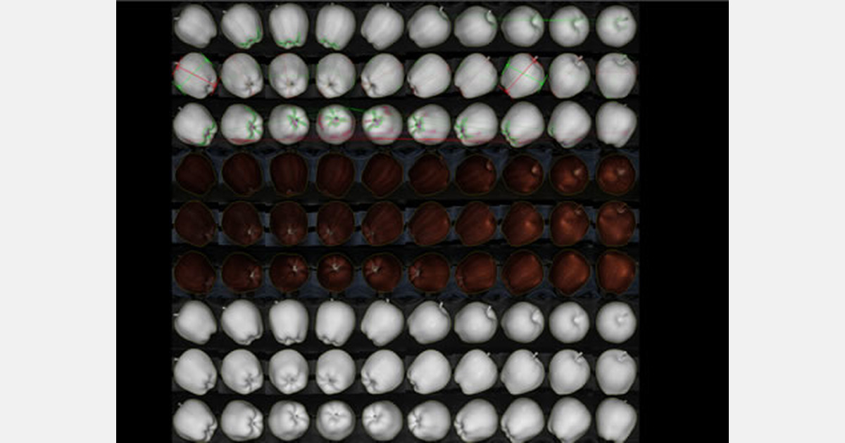 "With this new camera, we can detect every single bruise in a Red ...