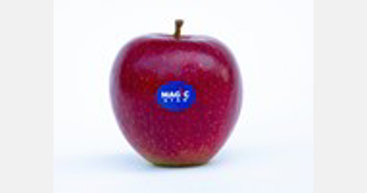 Edeka to have first Magic Star apples in German stores next year