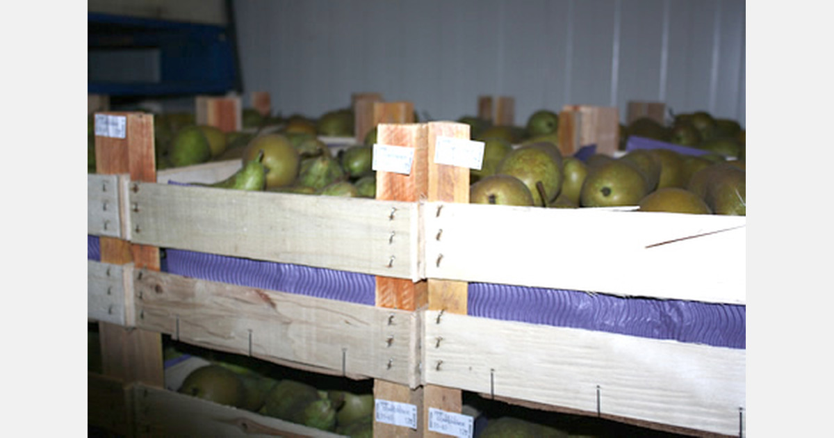 "We are now starting to overcoming the issues with Dutch Conference ...