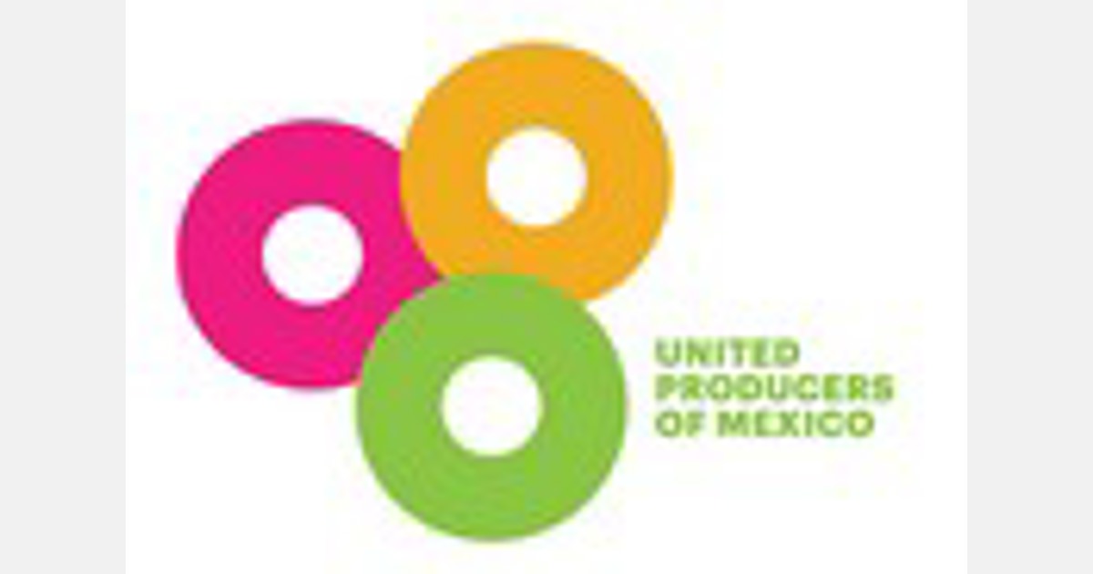 UPM Rotterdam Forum on sustainable and social impact in Mexico