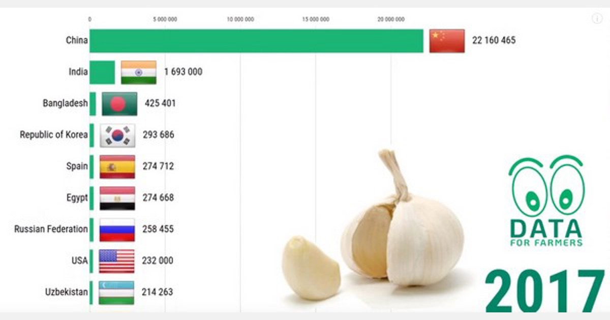 World ranking of top 10 garlic-producing countries