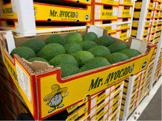 "Moroccan avocados are our core business"