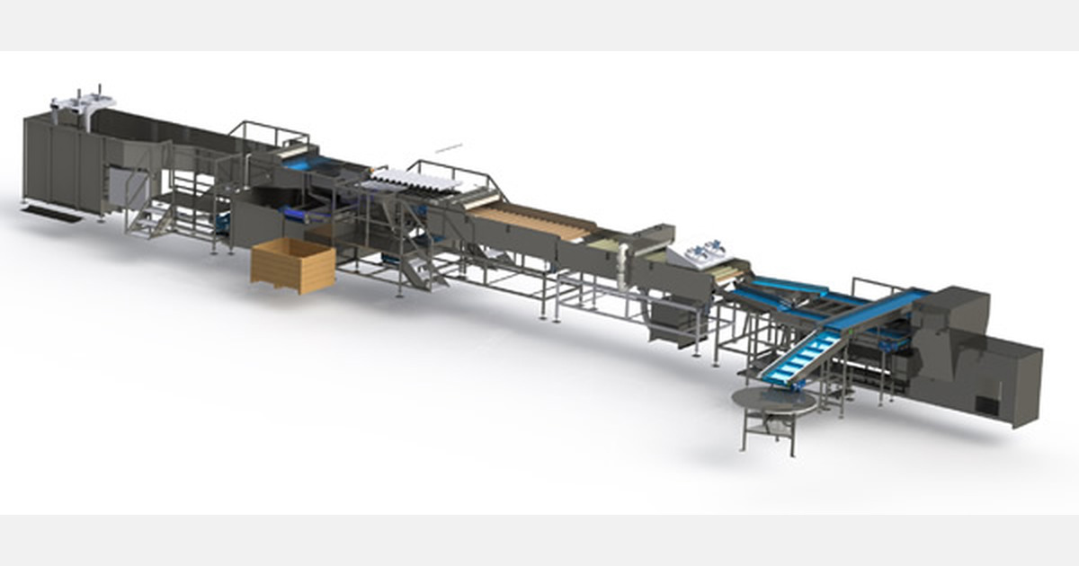 "Pumpkin processing lines from big to small"
