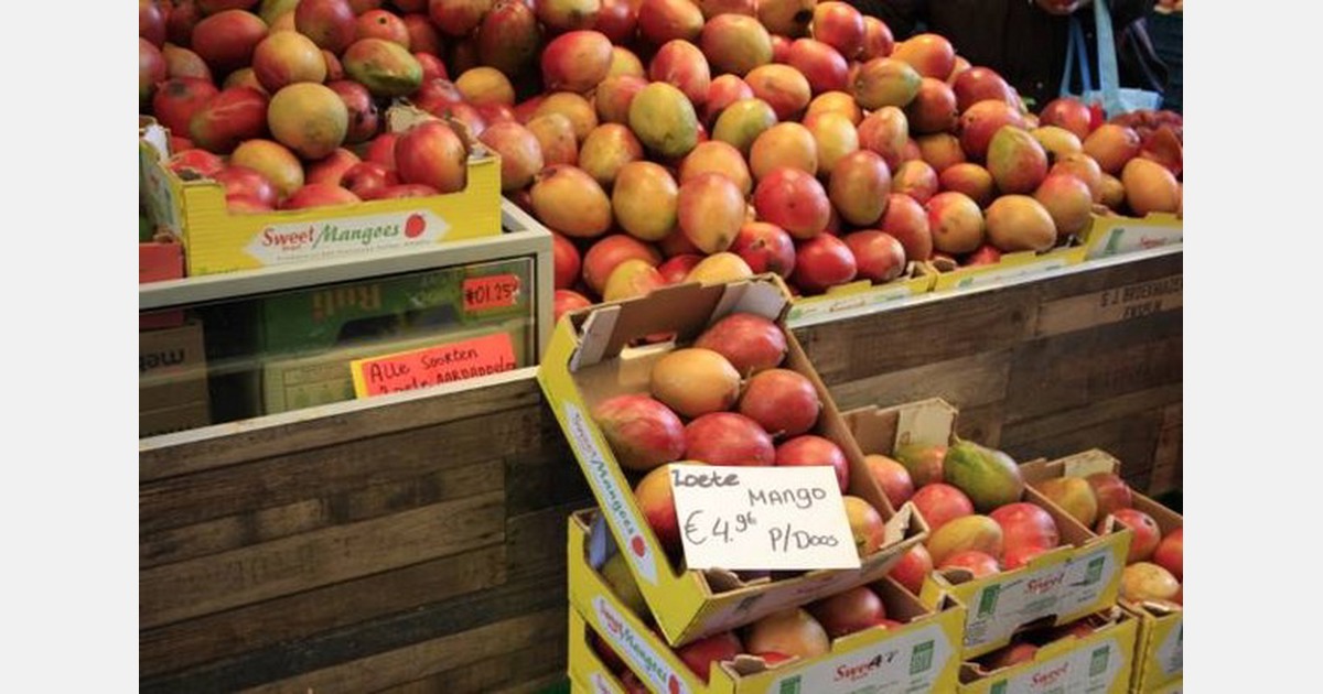 Selecting rotten mangoes without cutting them