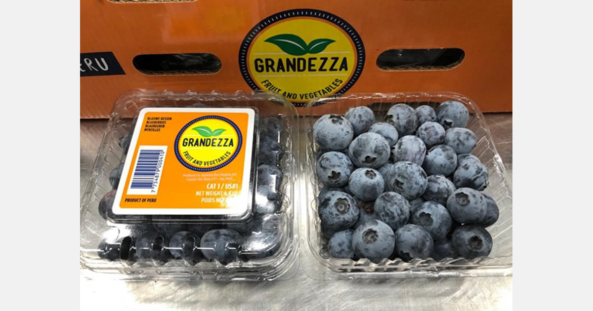"Grandezza branded Peruvian blueberries off to a good start"