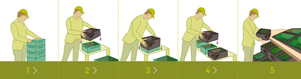 "Folding basket for EPS crates with woven look shines new light on ...