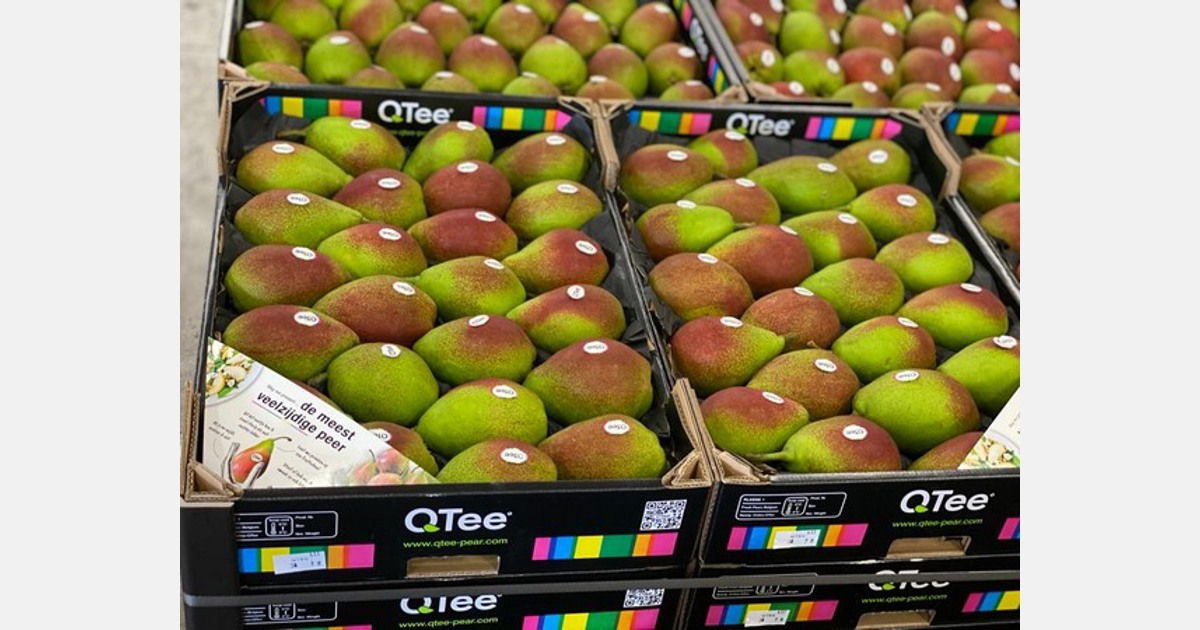 “QTee® pears all packaged and sold”