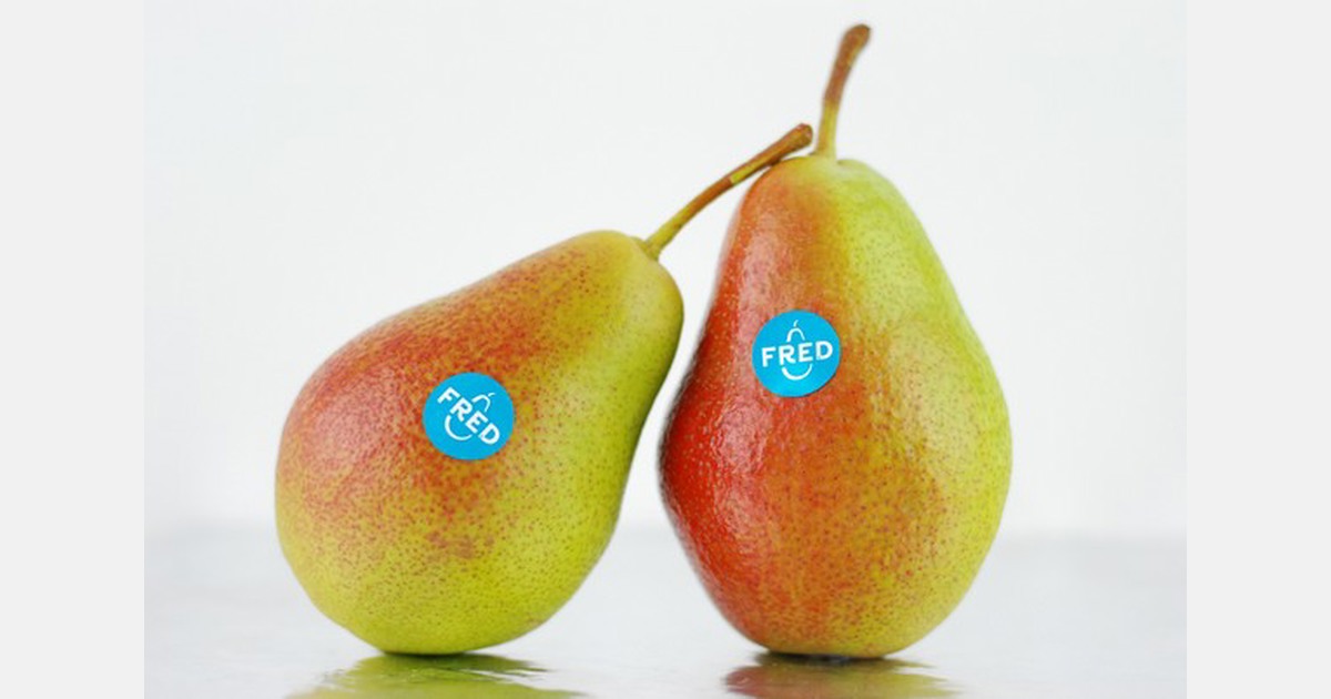 “The new Fred® pear plays in on the demand for red-blushed pears”