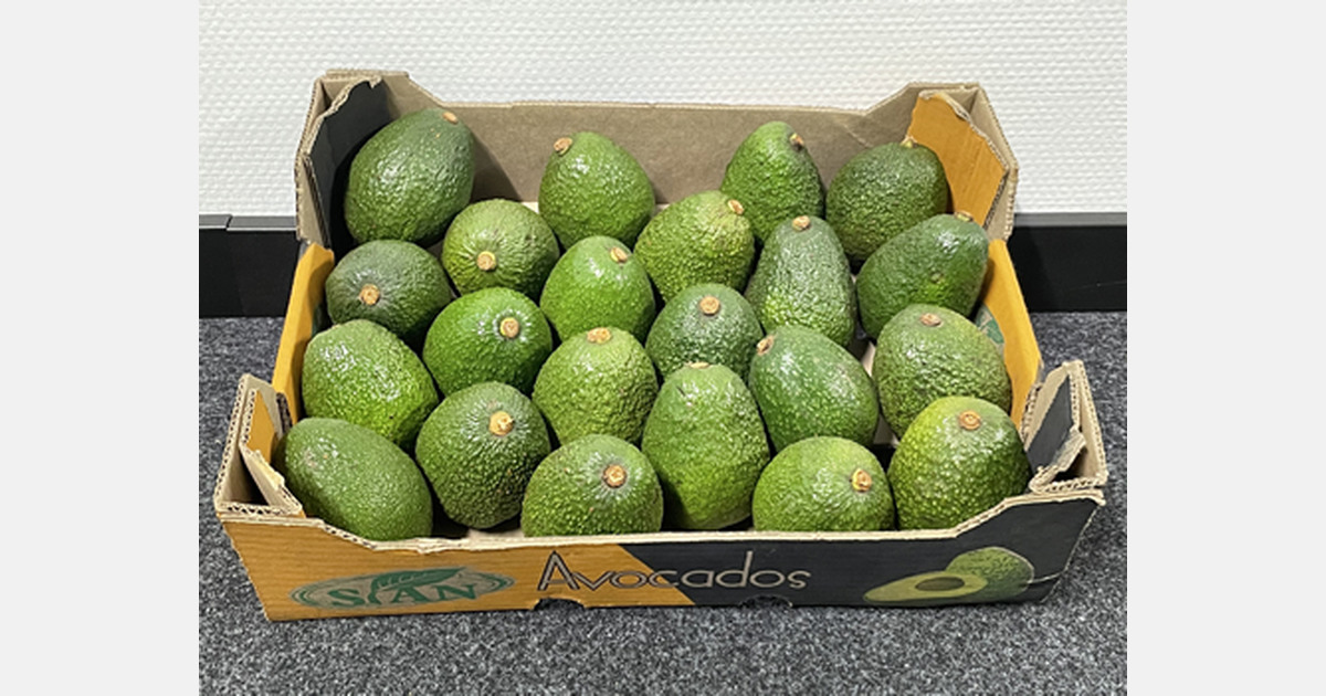 Vegpro Kenya opens Dutch sales office: Fresh Flow