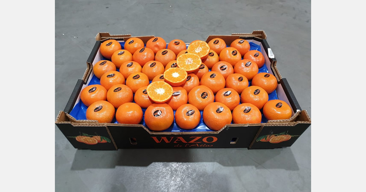 "Good citrus sales, only lemons lag behind"