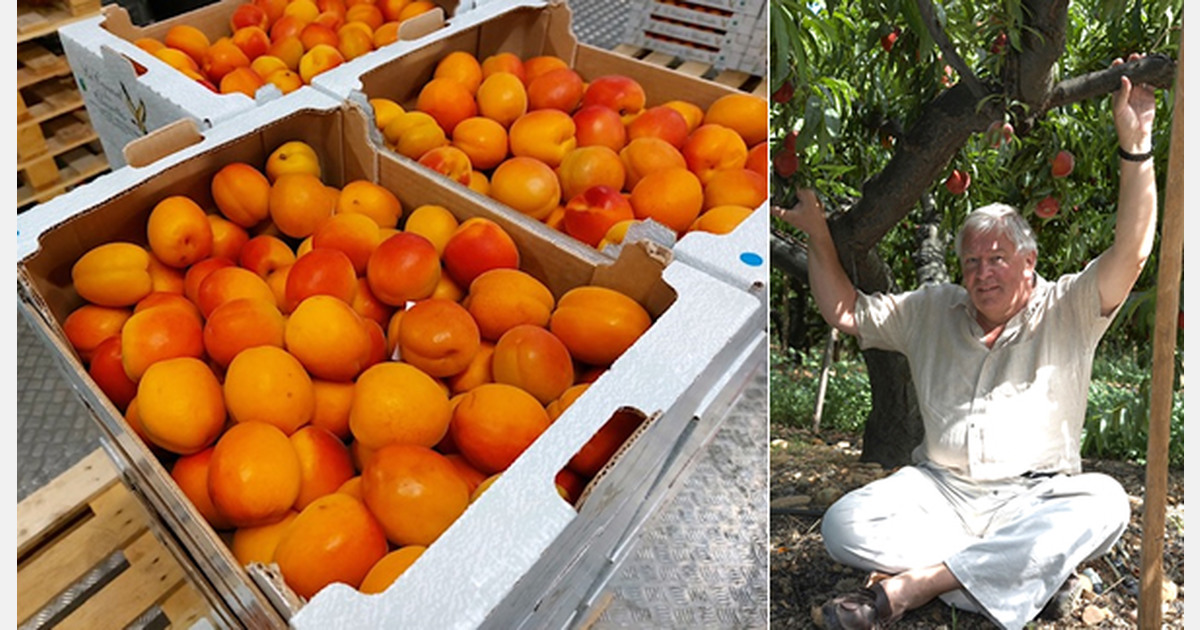 "You'll only truly see the difference in supply when the French ...