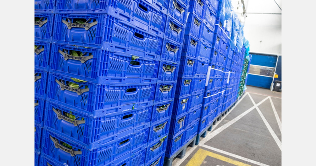 Dutch vegetable wholesaler circulates 350,000 folding crates for fresh ...