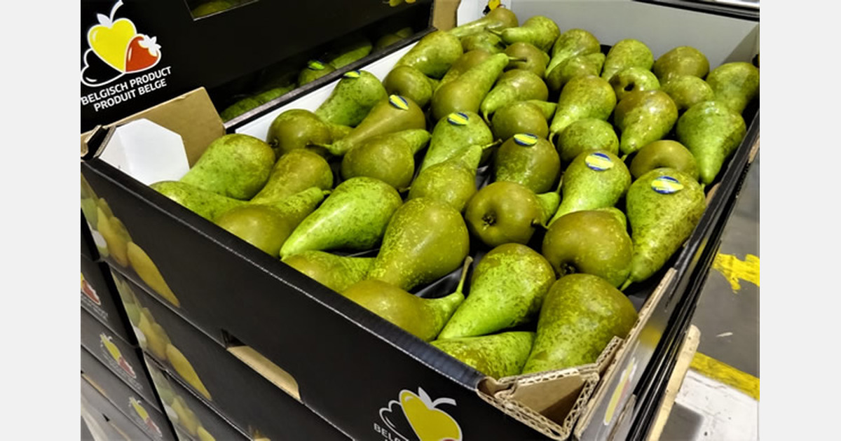 "Belarus banning Belgian pears has a major impact on the market"