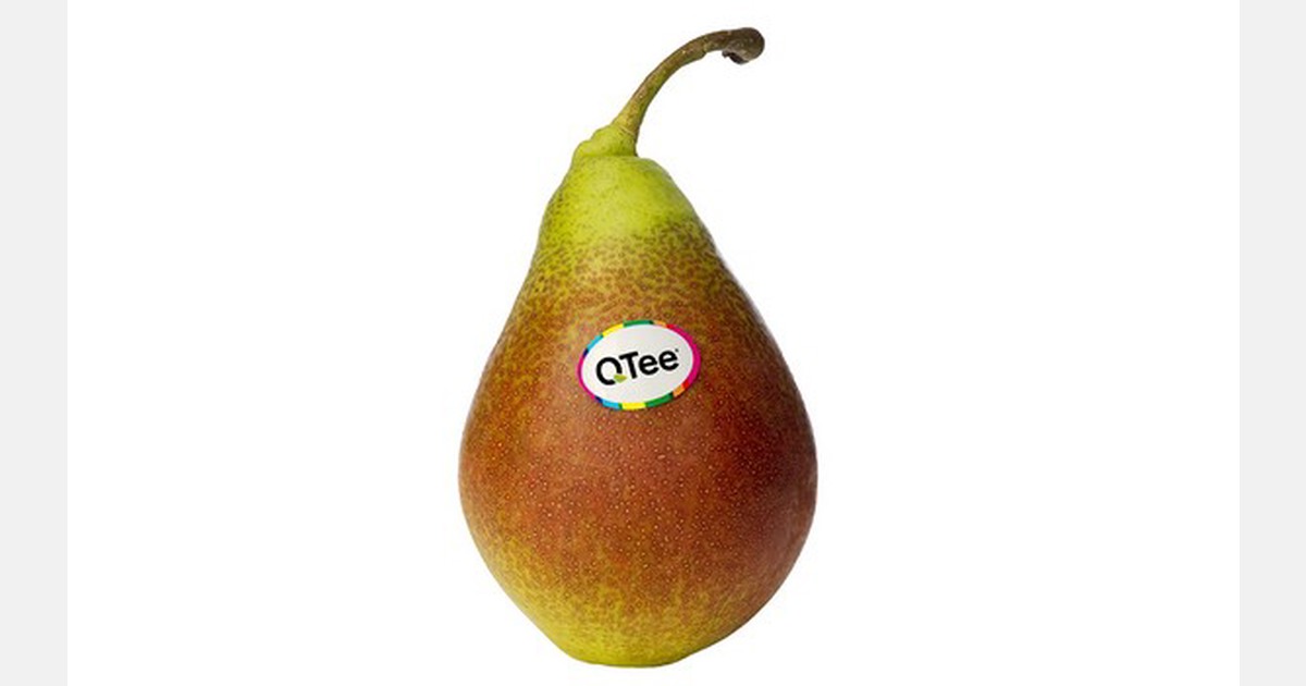 Belgian coop adds Qtee pears to its Earth range