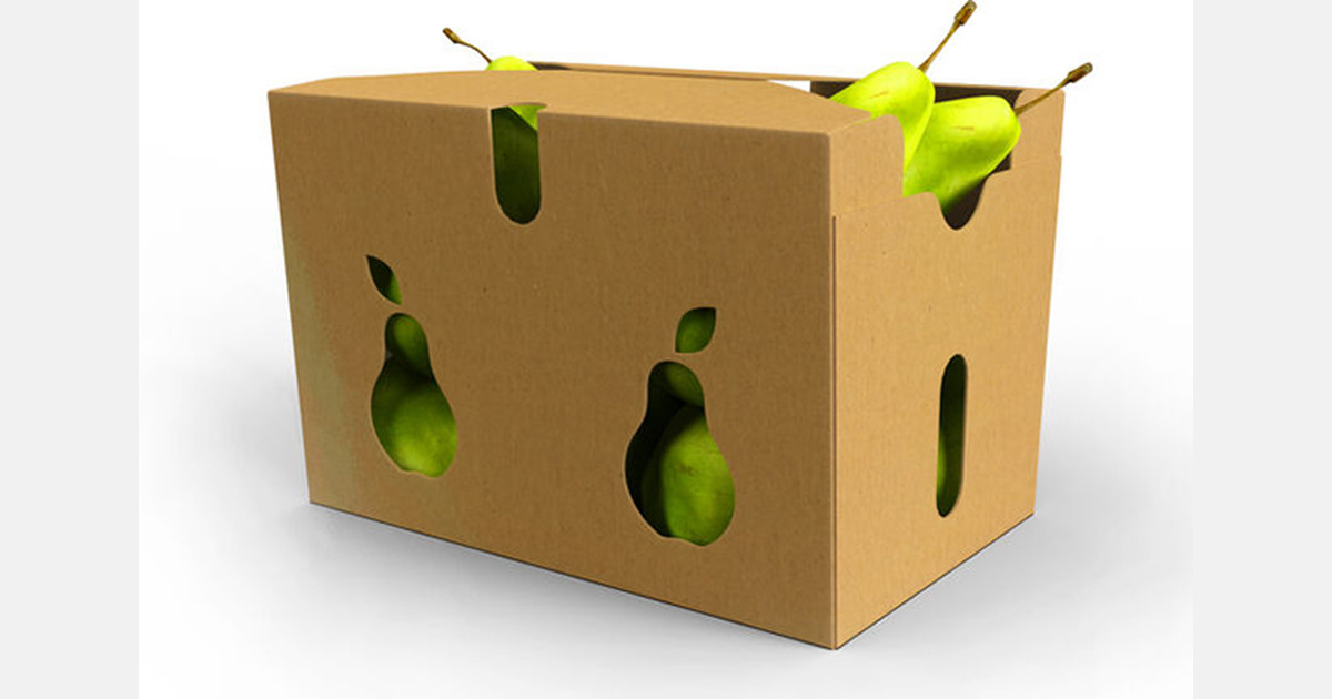 New fruit and vegetable punnet