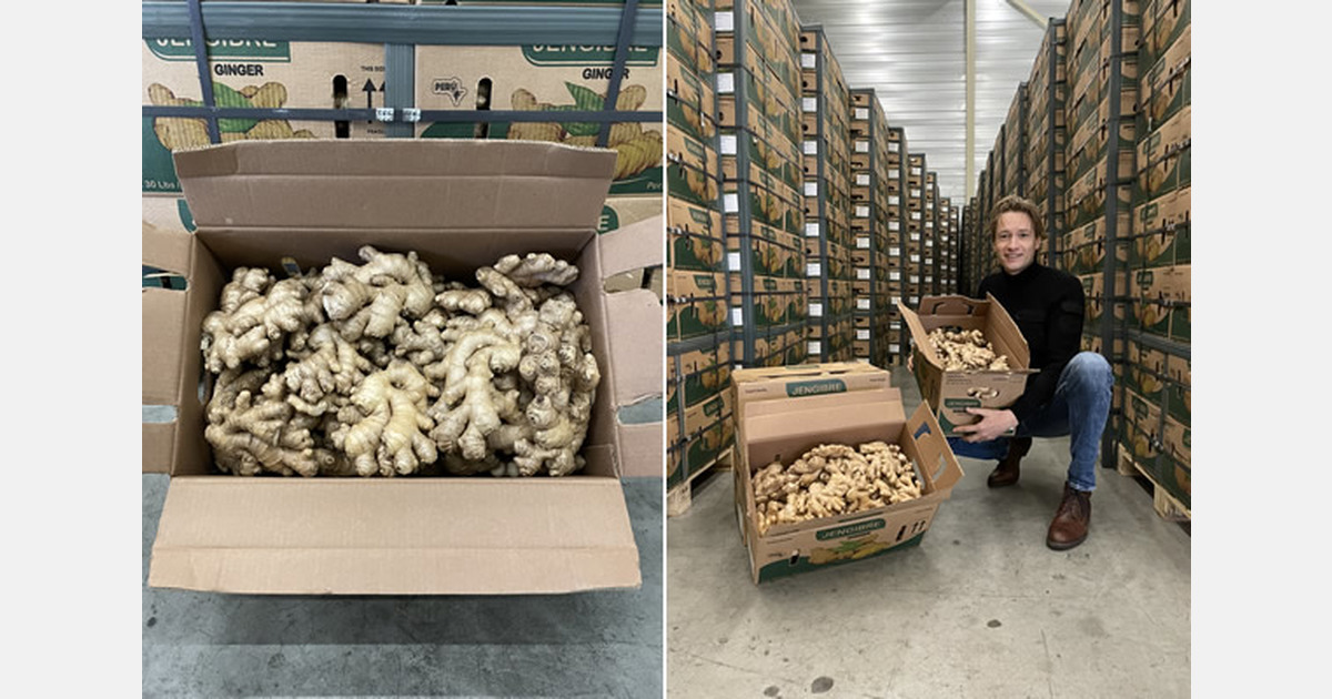 First Peruvian ginger has arrived at Fruvexco B.V.