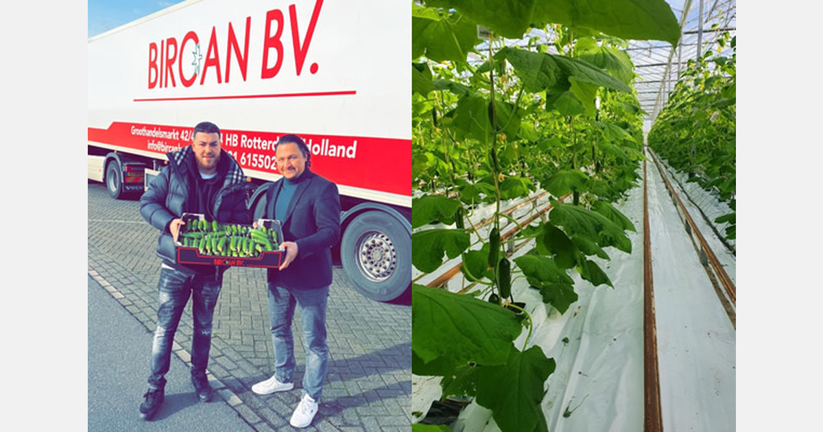 "After good Spanish season, we've now begun with own-grown Dutch mini ...