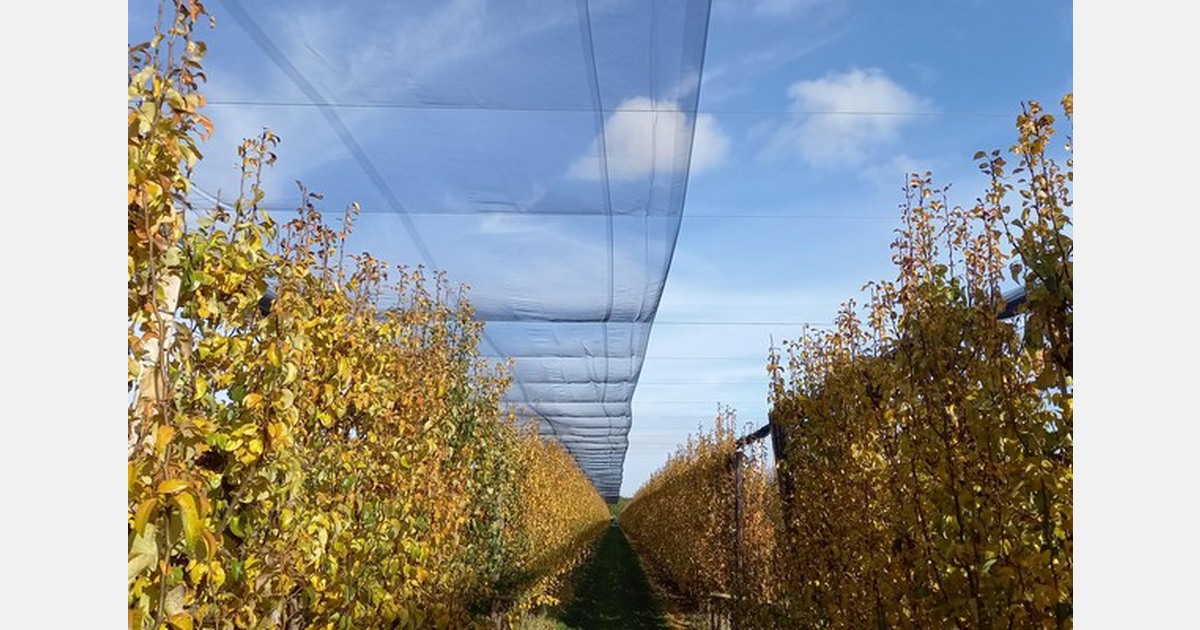 Dutch company introduces new hail netting that lasts 25 years