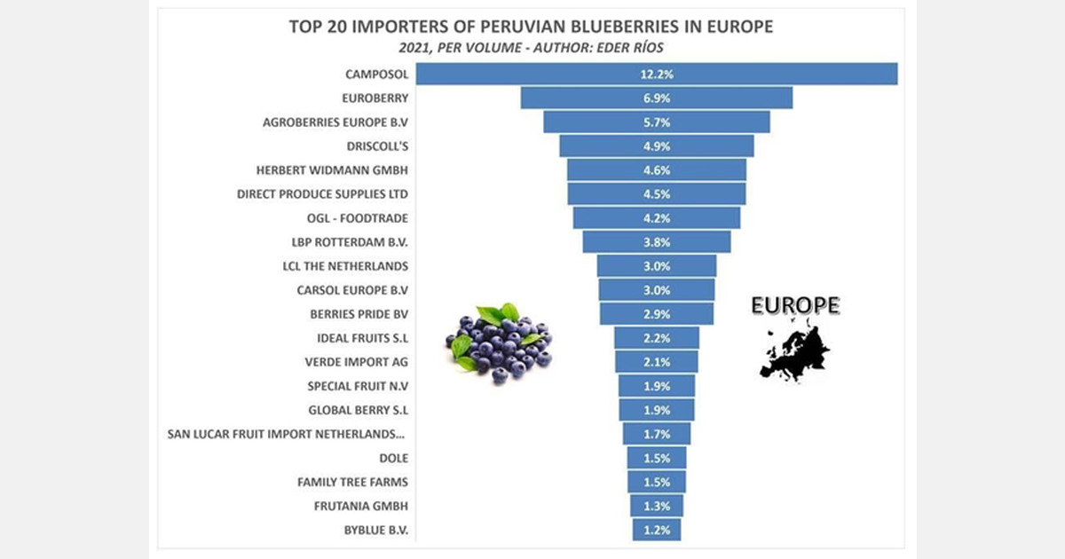 Top 20 importers of Peruvian blueberries in Europe