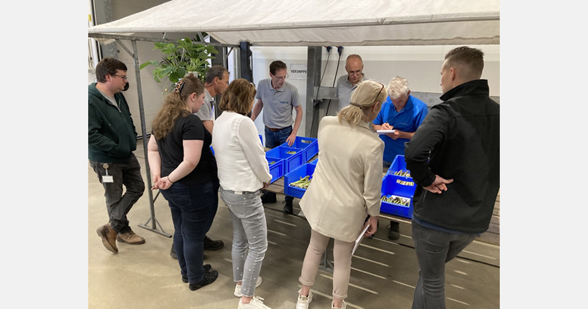 Limgroup Experience Days 2022, a peek behind the scenes