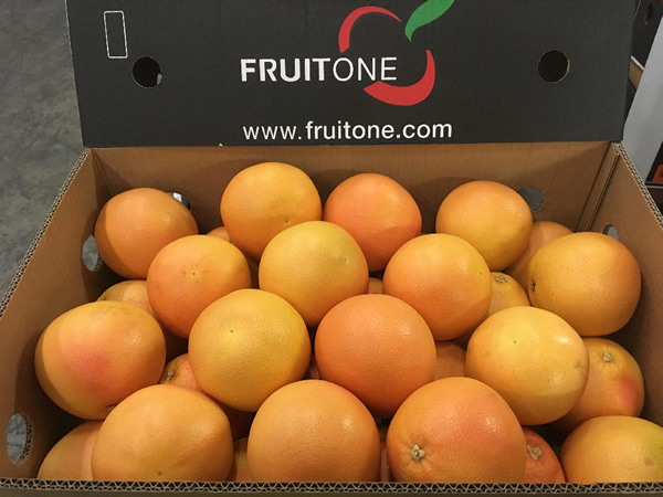 FruitOne Europe receives the first quality lemons from the southern ...