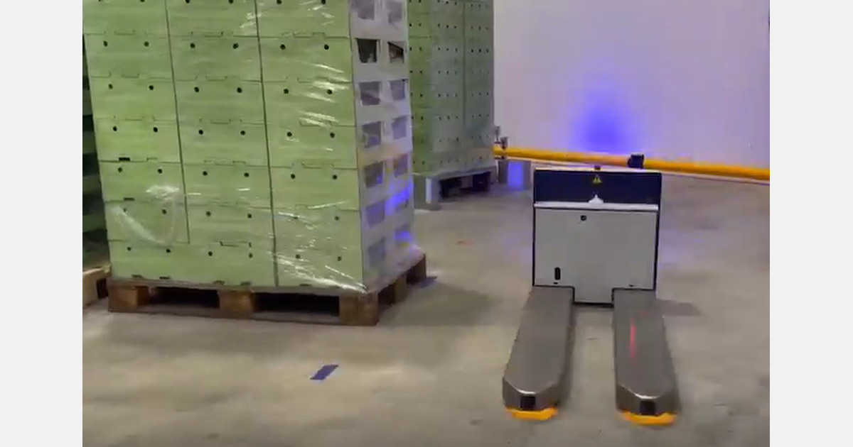 AGV replaces pallet trucks at Dutch vegetable processor