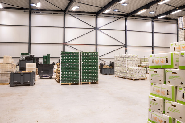 "We process hundreds of containers of ginger from all over, every year"