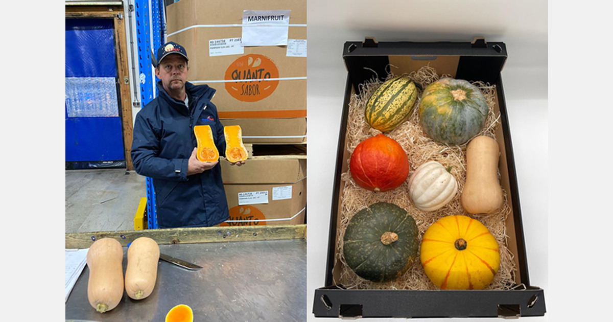 "We sell most of our pumpkins to processors"