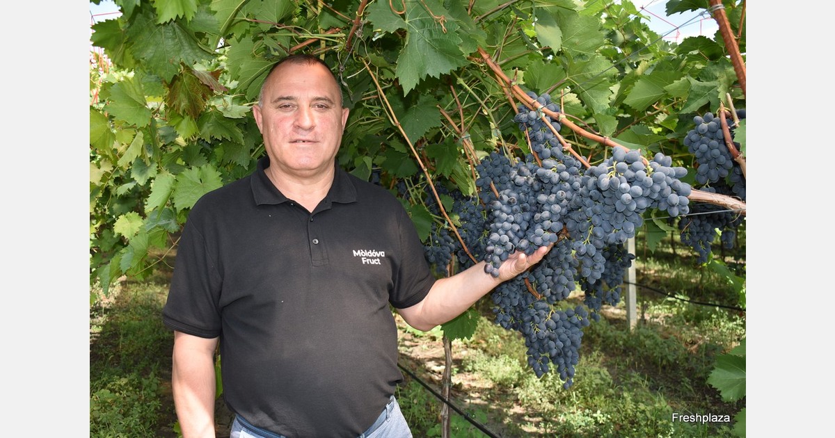 "After the second embargo in 2014, the fruit sector began shifting up a ...