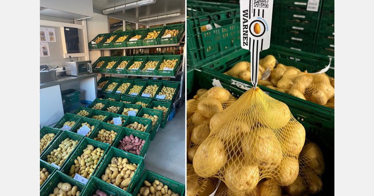 "Fruit Logistica will make it clear how things stand in the potato market"