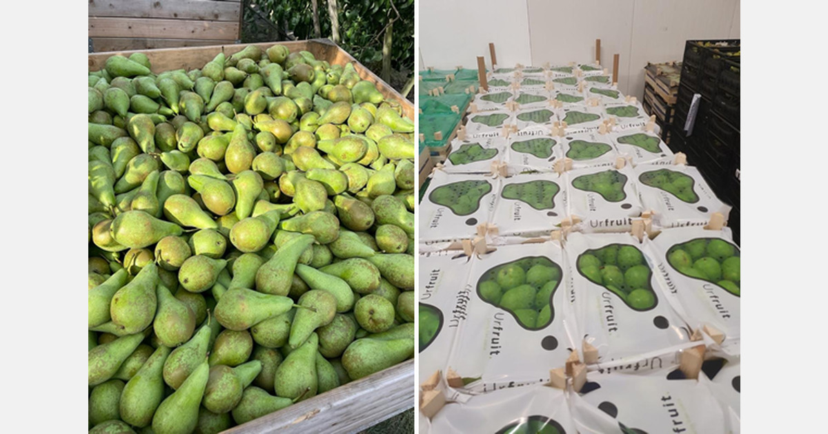 "Pear prices haven't changed yet, but costs have"