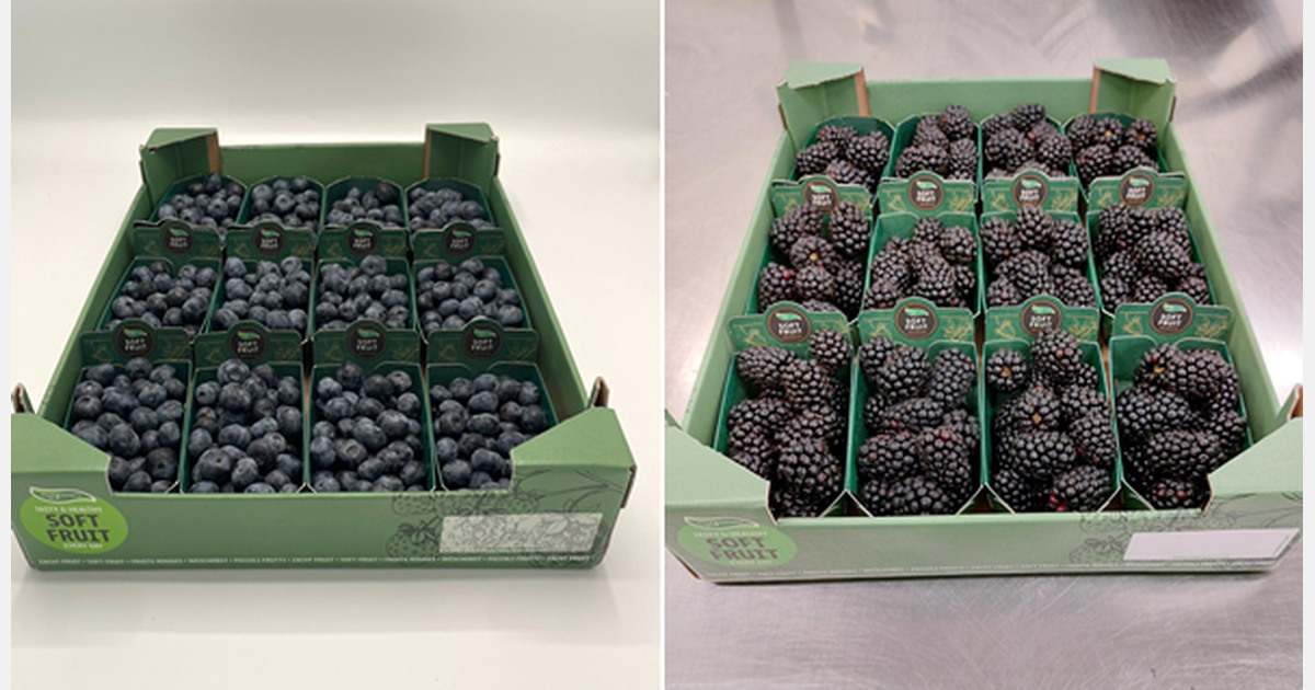 Now new imported soft fruit packaging line