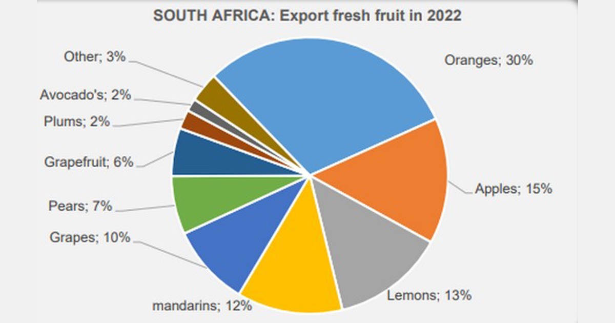 South Africa exports more fruit again in 2022