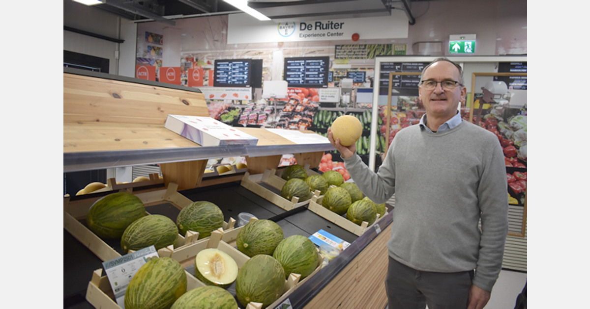 "Increased winter melon sales boost entire sector"