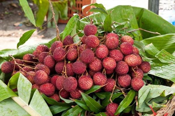 "Good demand, but South African lychees priced much lower than in ...
