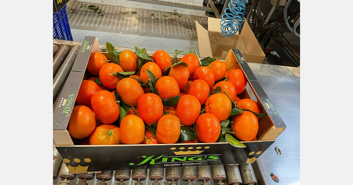 "Smooth citrus sales; market eagerly awaiting new Tango leaf mandarins"