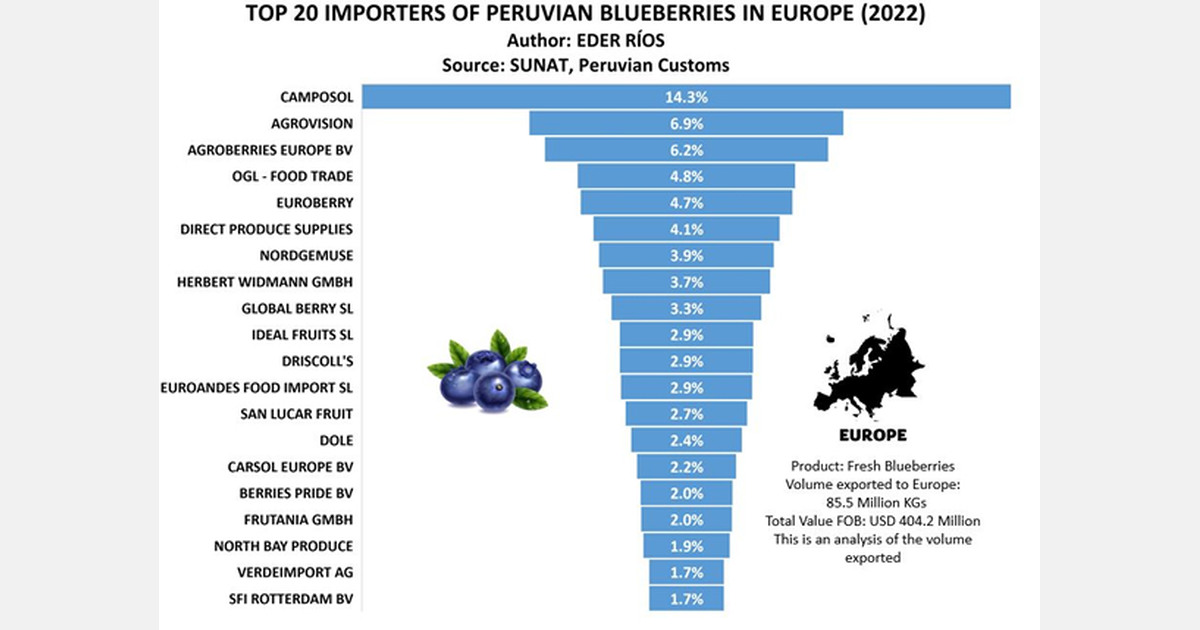 Top 20 European importers Peruvian blueberries