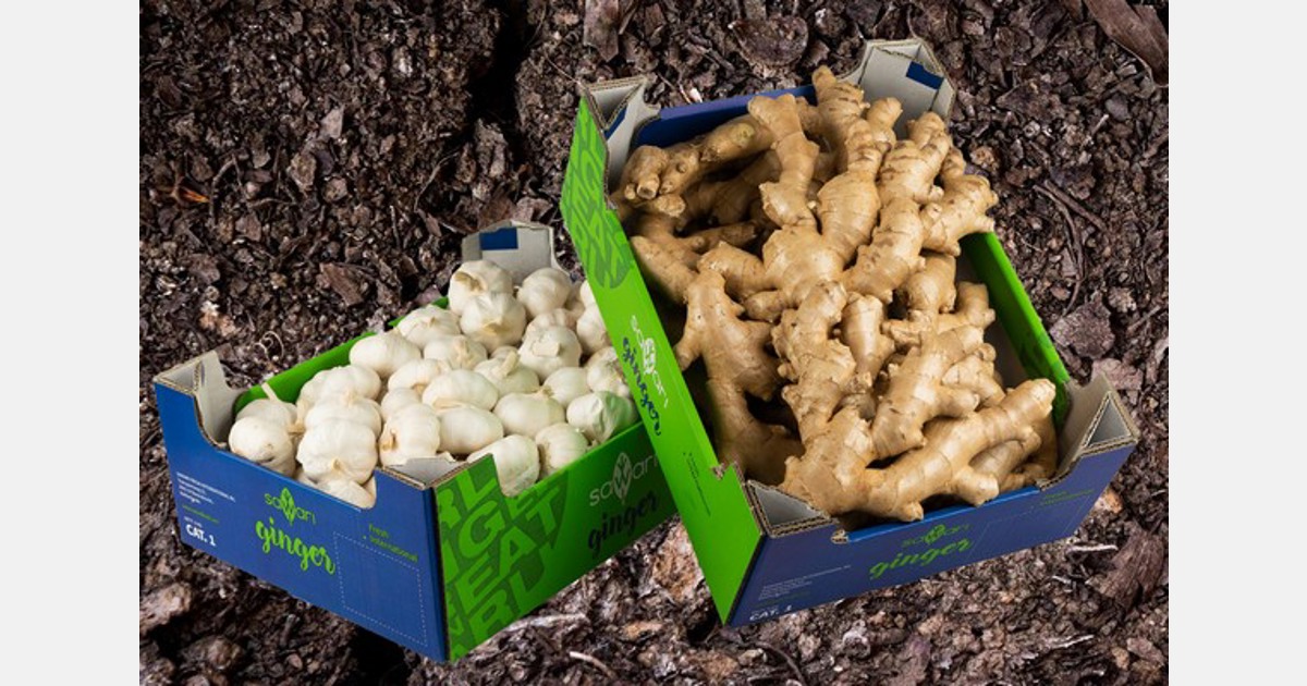 "Top ginger prices, slow but steady garlic market"