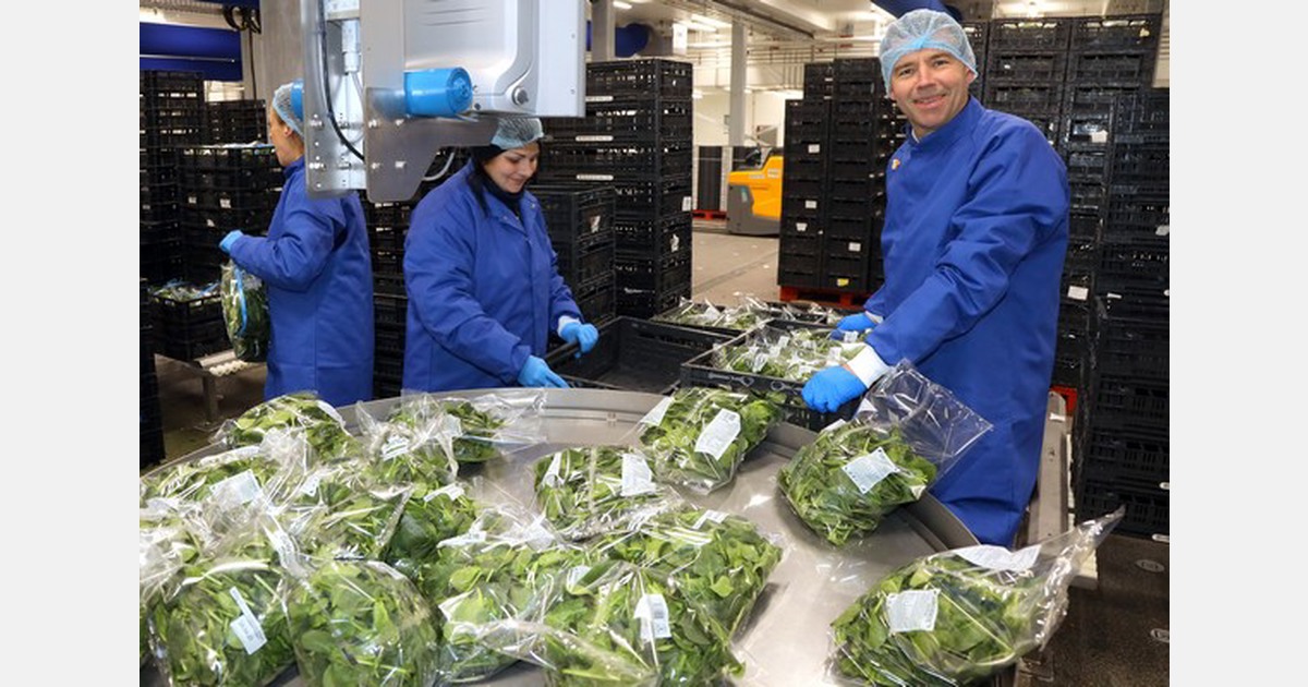 Dutch vegetable processor starts first commercial production at new site
