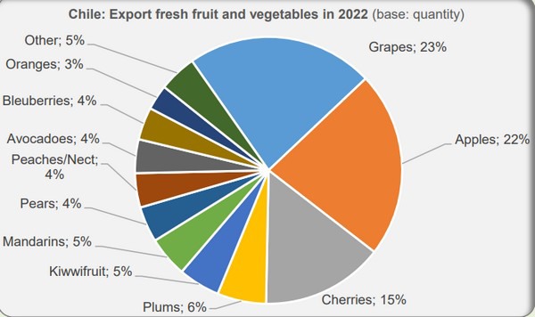 Chilean fruit exports shift from EU, North America to Southeast Asia, South America