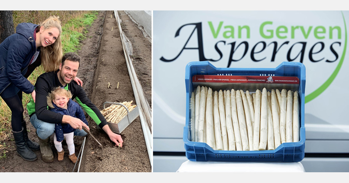 Dutch asparagus farm grows from 6 to 72 hectares in 11 years